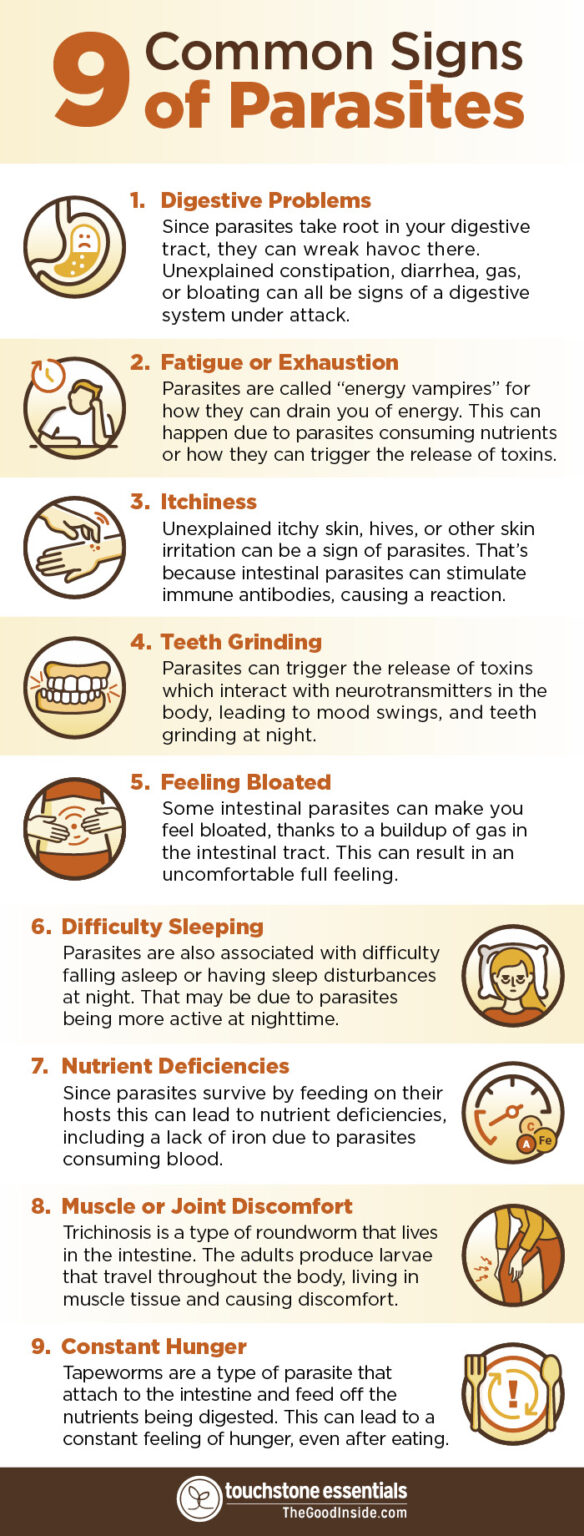 9 Signs You May Need a Parasite Cleanse – The Washington Standard